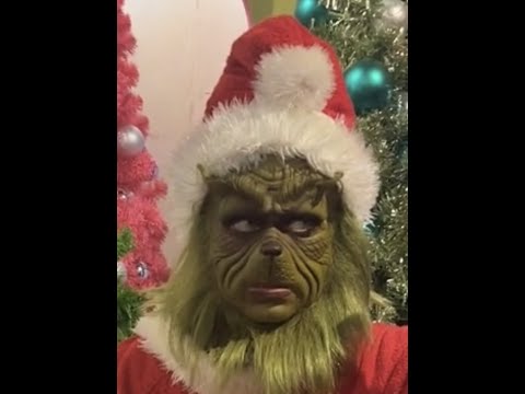 Maryn and Ryan Meet The Grinch at Universal Studios Orlando! - YouTube
