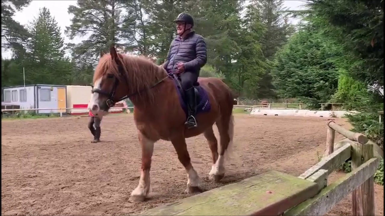 Hayfield Riding Club Lessons Sept 2019 - YouTube