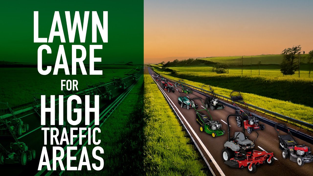 Lawn Care for High Traffic Areas | How to Put a Stop to Compaction and ...