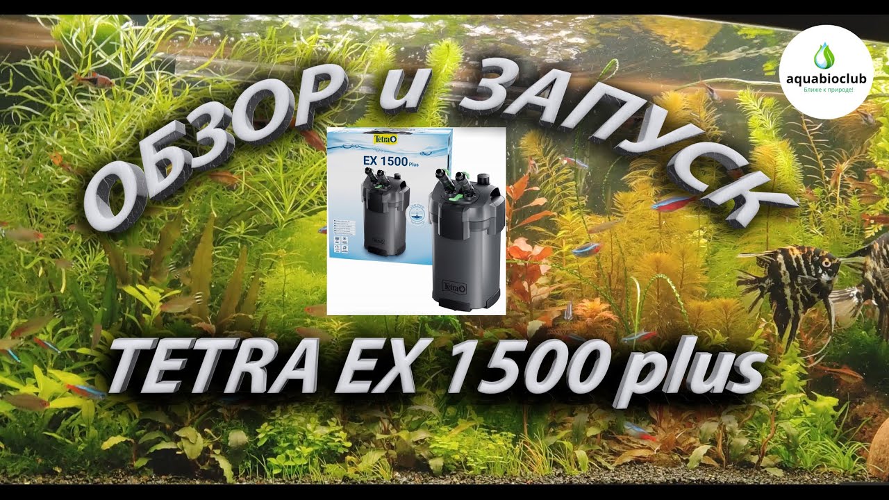 Обзор и запуск внешнего фильтра ТЕТРА ЕХ 1500 plus. - YouTube