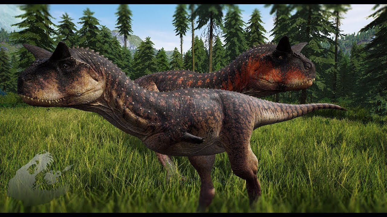 life of a carno #2 - YouTube