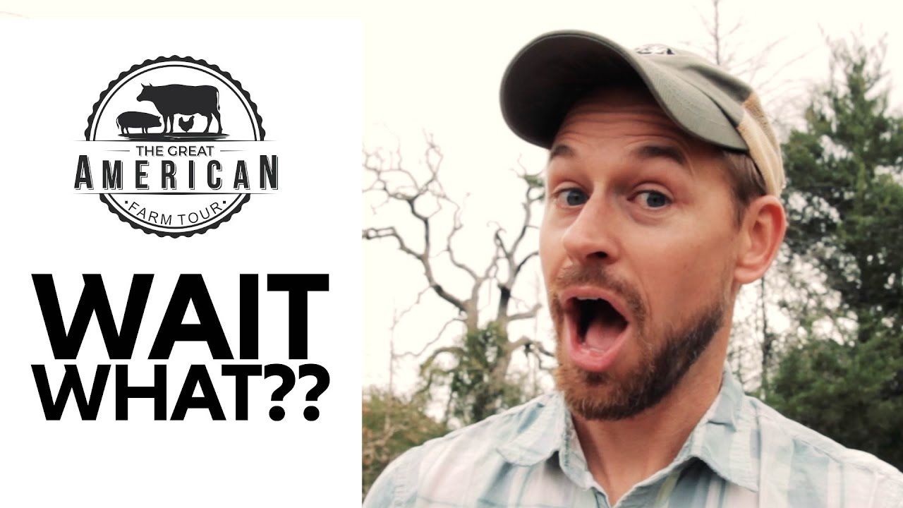 Justin Rhodes and The Great American Farm Tour - YouTube