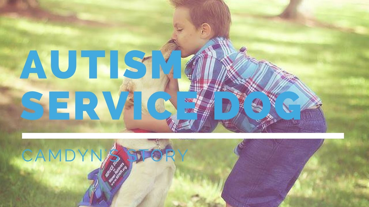 Autism Service Dog Feature: Camdyn's Story - YouTube