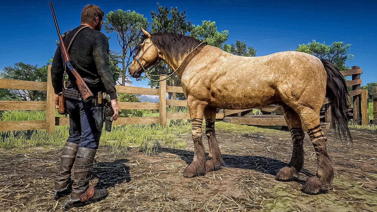4 All Mustang Horse details exist in RDR2 - YouTube
