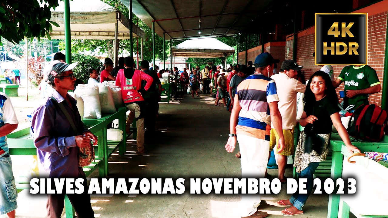 MUNICÍPIO DE SILVES DO AMAZONAS NOVEMBRO DE 2023 - YouTube