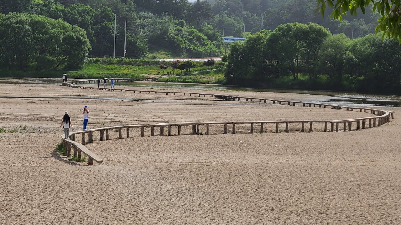 무섬마을 외나무다리/cross a single log bridge - YouTube