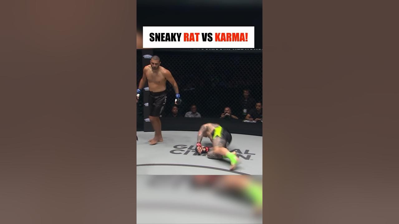 Rat got Instant Karma! - YouTube