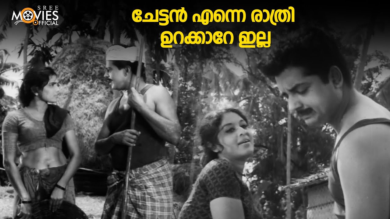 ചേട്ടൻ എന്നെ രാത്രി ഉറക്കാറേ ഇല്ല | Anubhavangal Paalichakal | Sheela ...