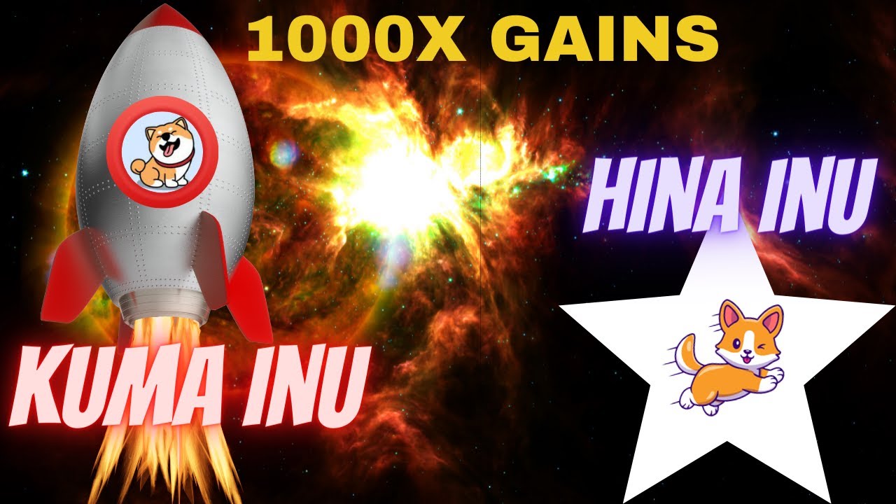 KUMA INU HINA INU PARTY - YouTube