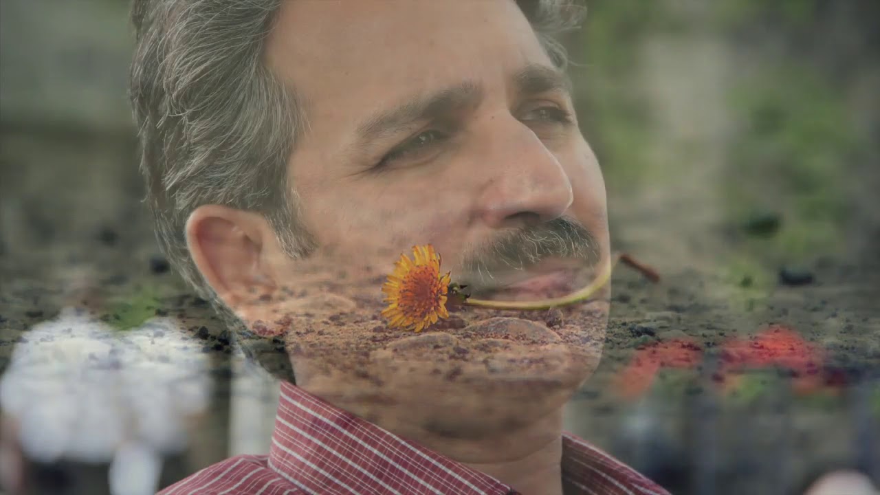 New Song of Haroon Bacha. Hamza Baba - YouTube