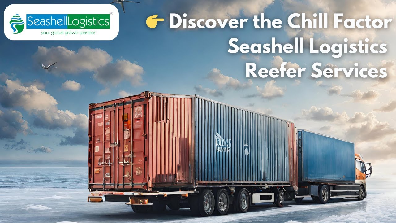 Navigating the Cold Chain: Seashell Logistics Reefer Services Explained ...