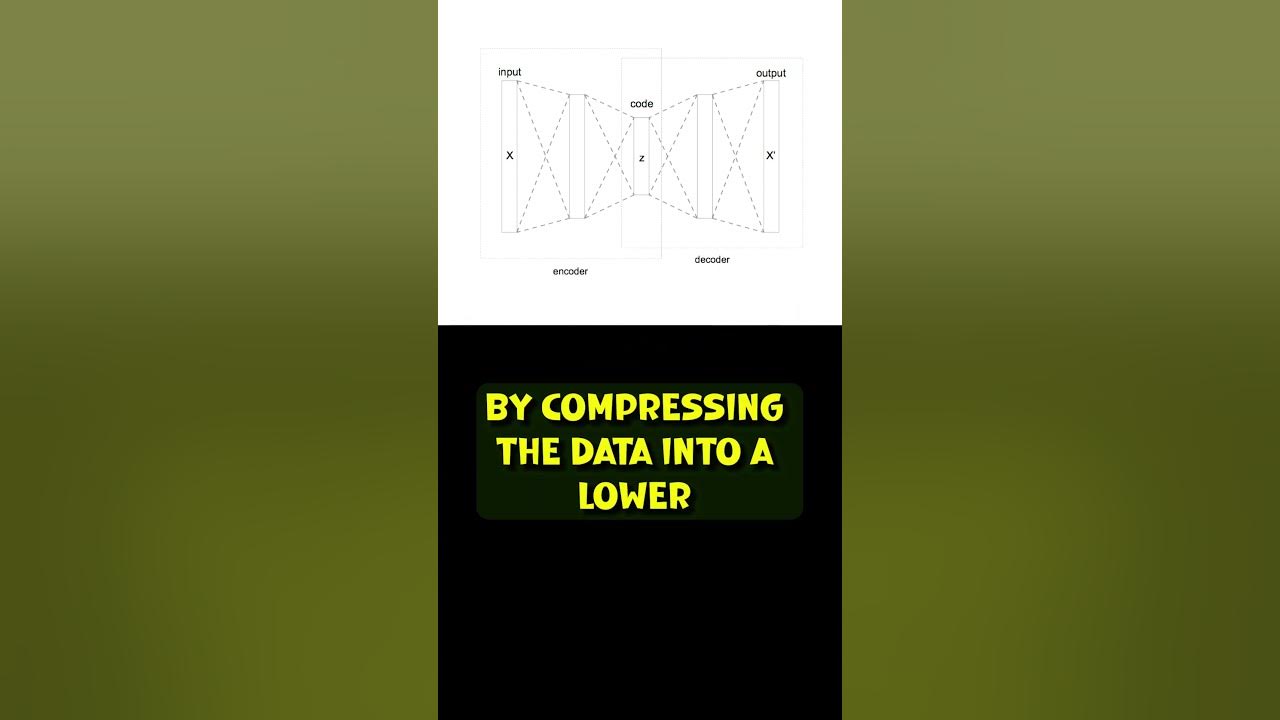 Word2Vec vs Autoencoder | Data Science Interview Questions | Machine Learning - YouTube