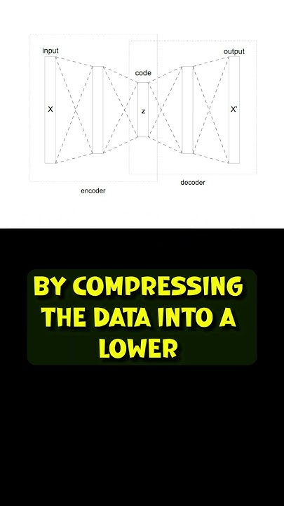 Word2Vec vs Autoencoder | Data Science Interview Questions | Machine Learning - YouTube