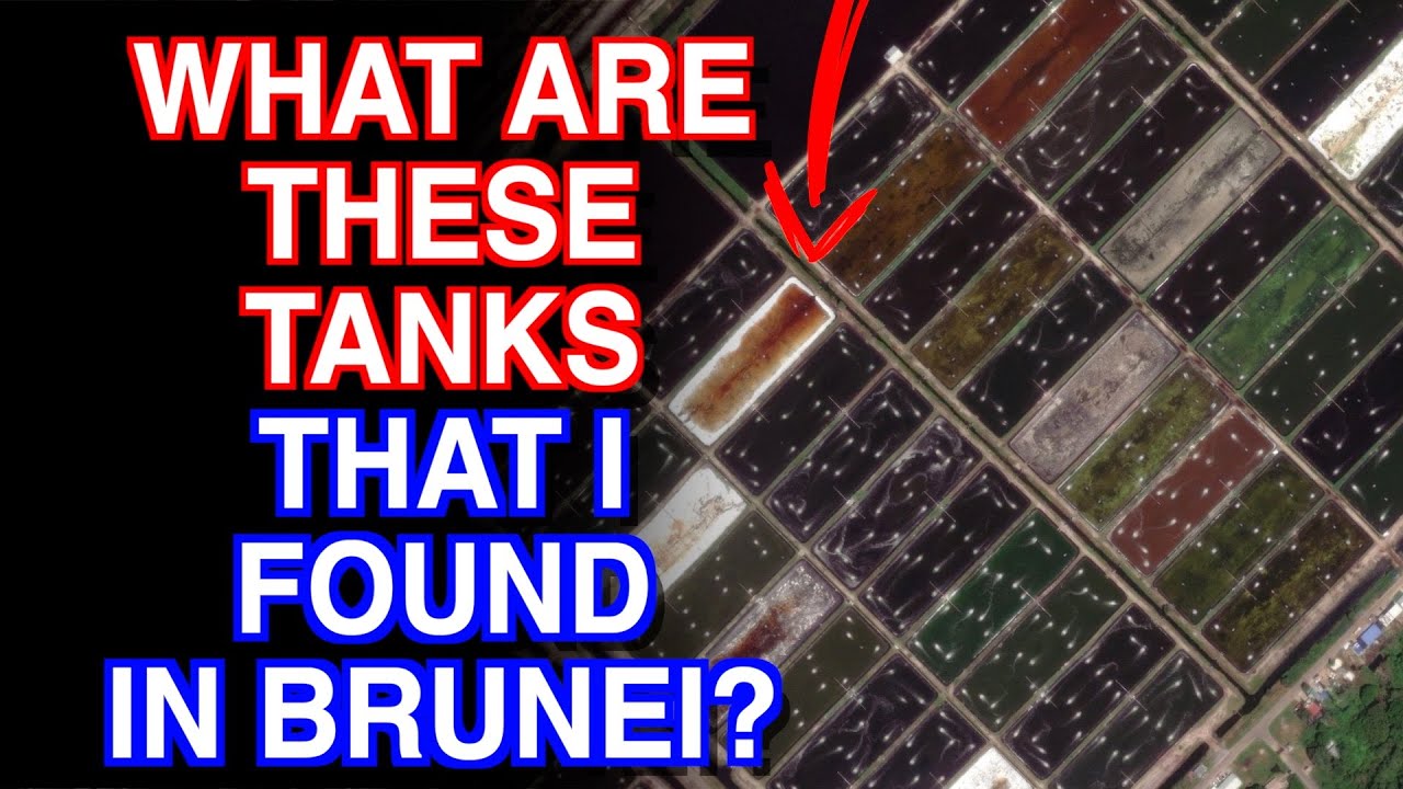 Brunei has got a 30km bridge! || Robyn Doyle - YouTube