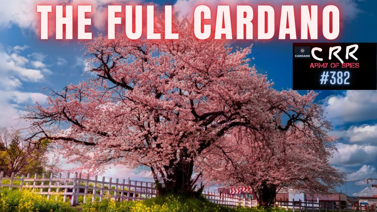 The Full Cardano | Cardano Rumor Rundown #382 - YouTube