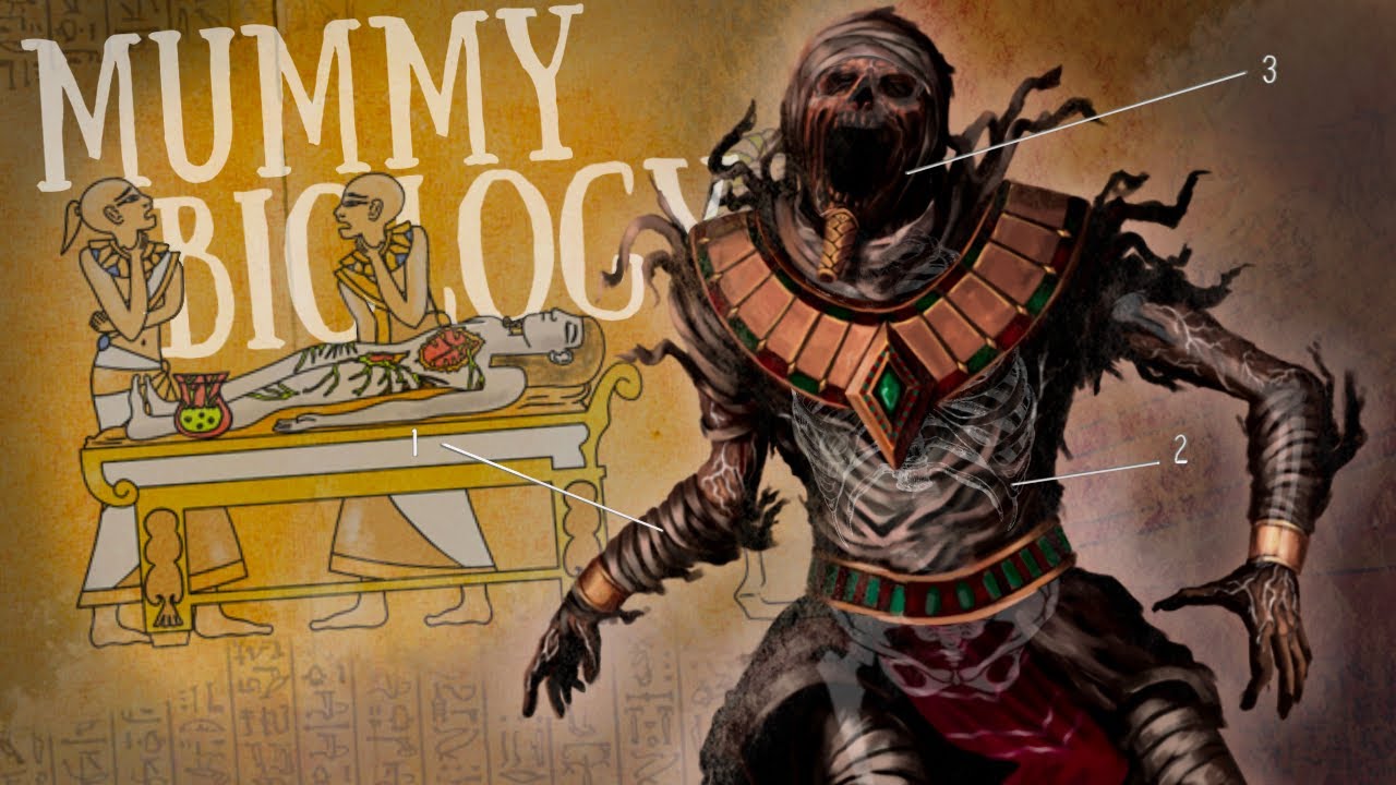 Biology of the Living Mummy Explained | The Science of the Mummy's ...
