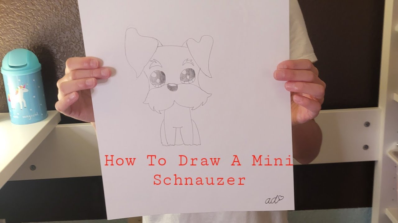 How to Draw A Mini Schnauzer | Simple and Easy - YouTube