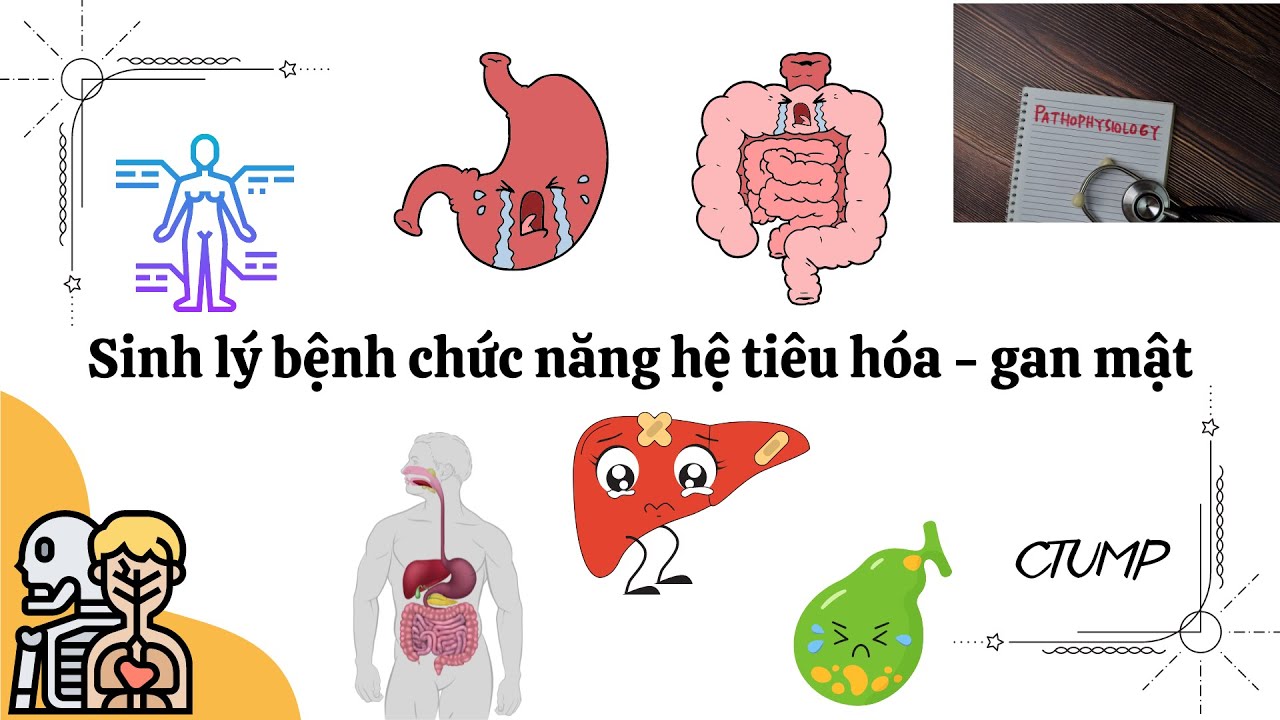 [SINH LÝ BỆNH - MIỄN DỊCH] - Bài 12 + 13: Sinh lý bệnh chức năng hệ ...