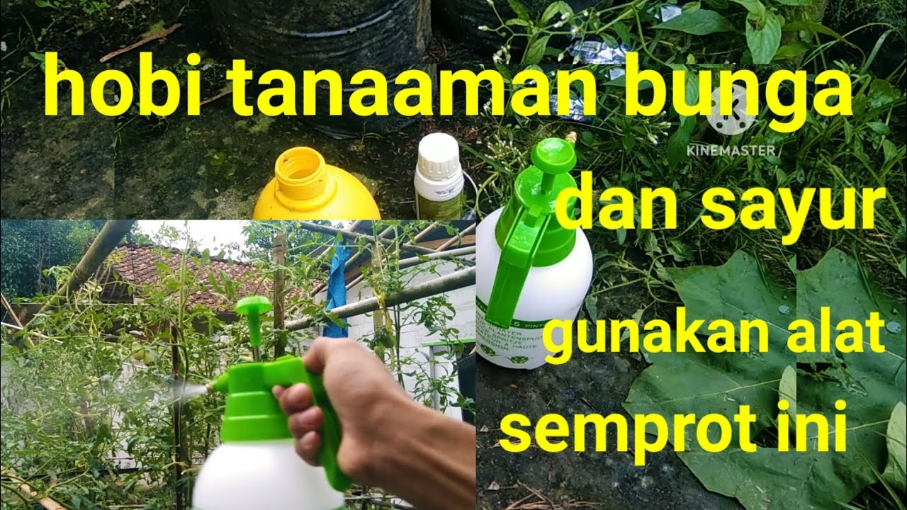 alat semprot tanaman modern sangat mudah di gunakan tinggal pompa ...