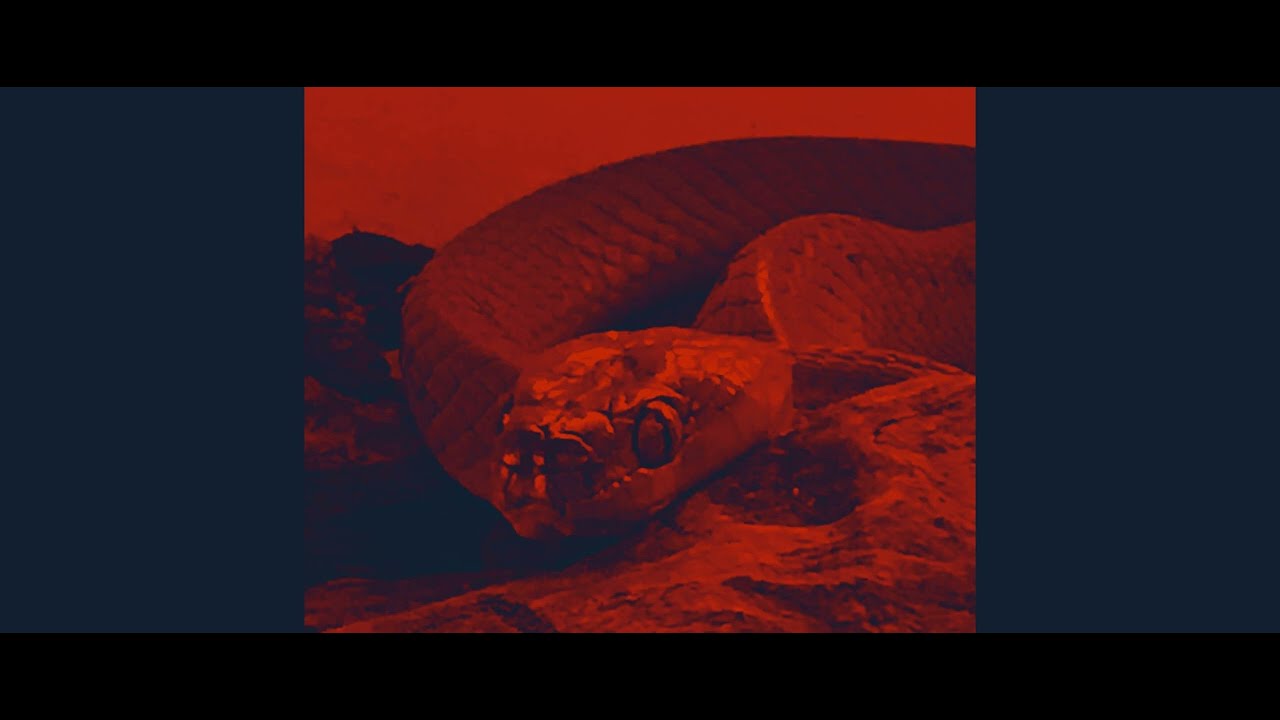 THE NUN II (2023) - The Marquis Of Snake [4K Ultra HD 60 fps] - YouTube