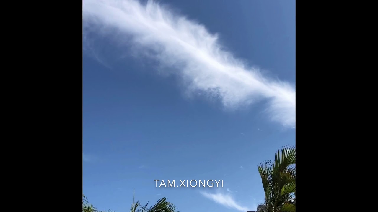 脊狀雲 Vertebratus (1) - YouTube