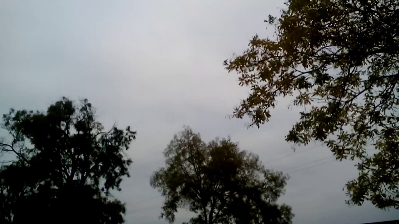 Backa Topola city town grad National street - YouTube