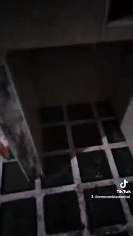 Evil entity escapes in plain sight - Real Footage - YouTube