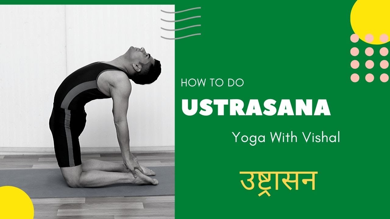 How to do Ushtrasana | उष्ट्रासन | Camel Pose | Yoga With Vishal - YouTube