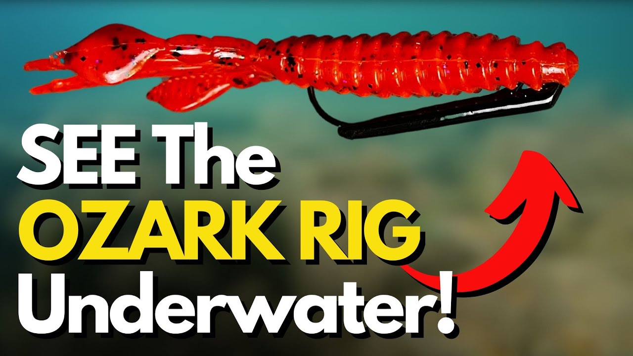 What Does the Ozark Rig REALLY Do Underwater? (3 Different Retrieves ...