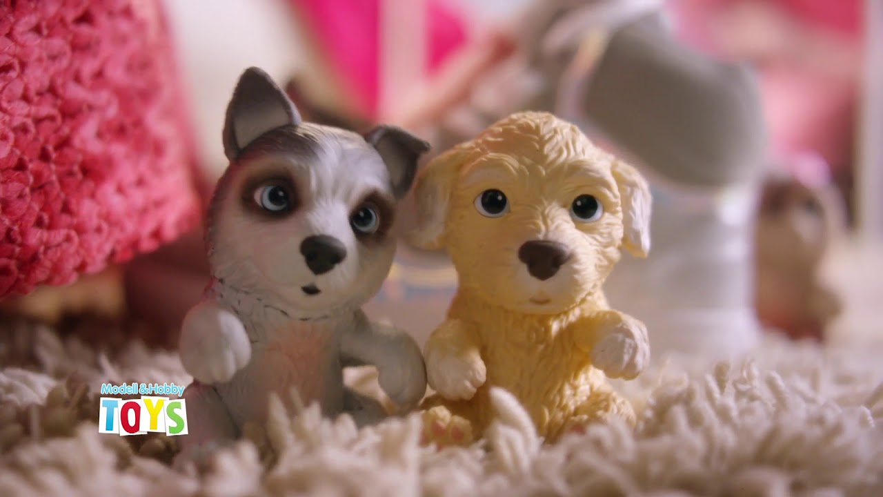 OMG Pets - YouTube