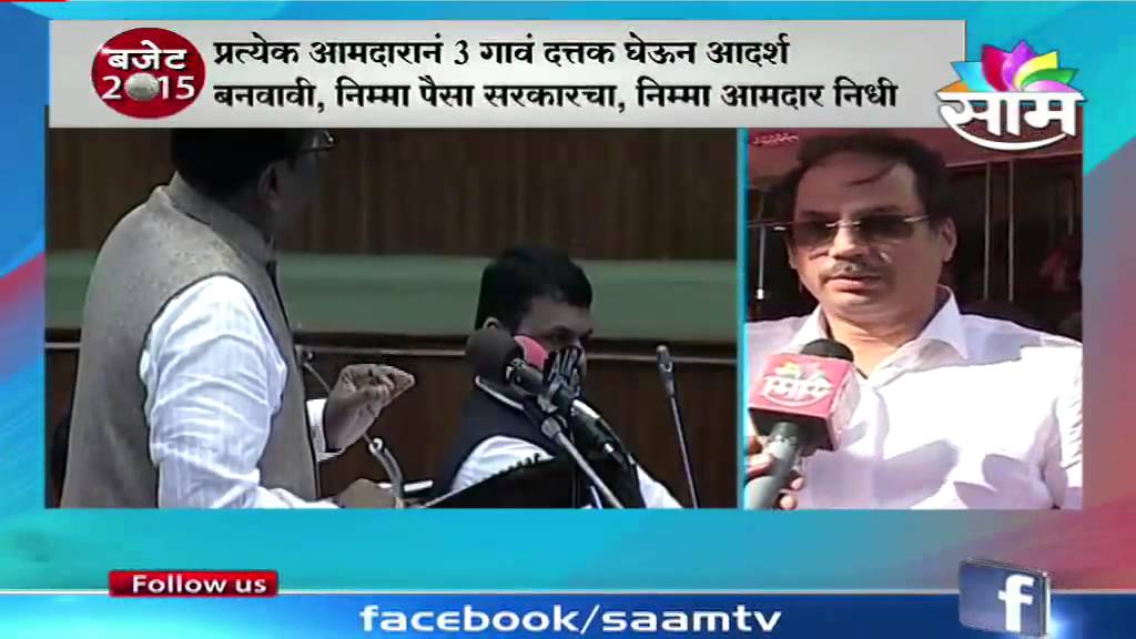 Maharashtra Budget 2015 : Reaction of Parag Alavani - YouTube