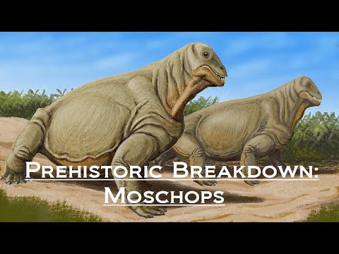 Prehistoric Breakdown: Moschops