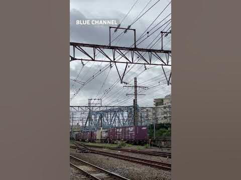 (貨物列車) 2023/07/08 2066レ EF66-126 + コキ26B (百済タ〜越谷タ) #Shorts - YouTube