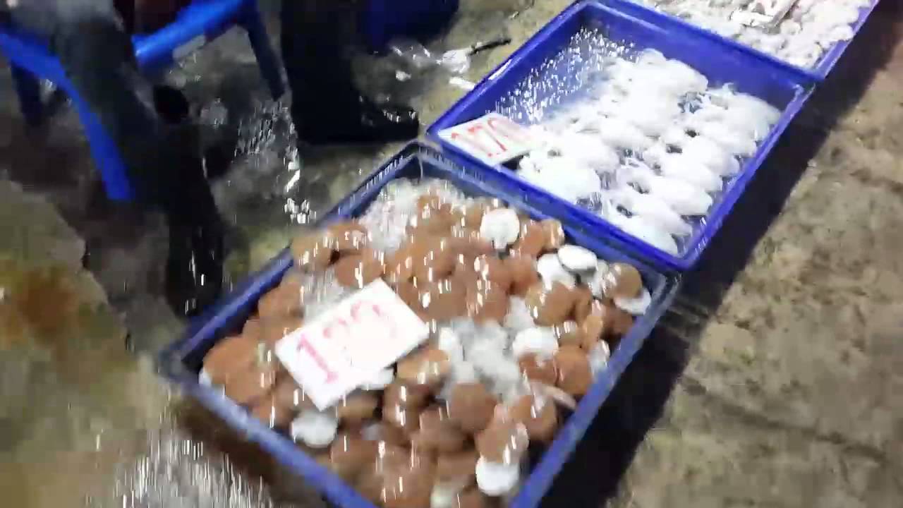 Ang Sila Fish Market - YouTube