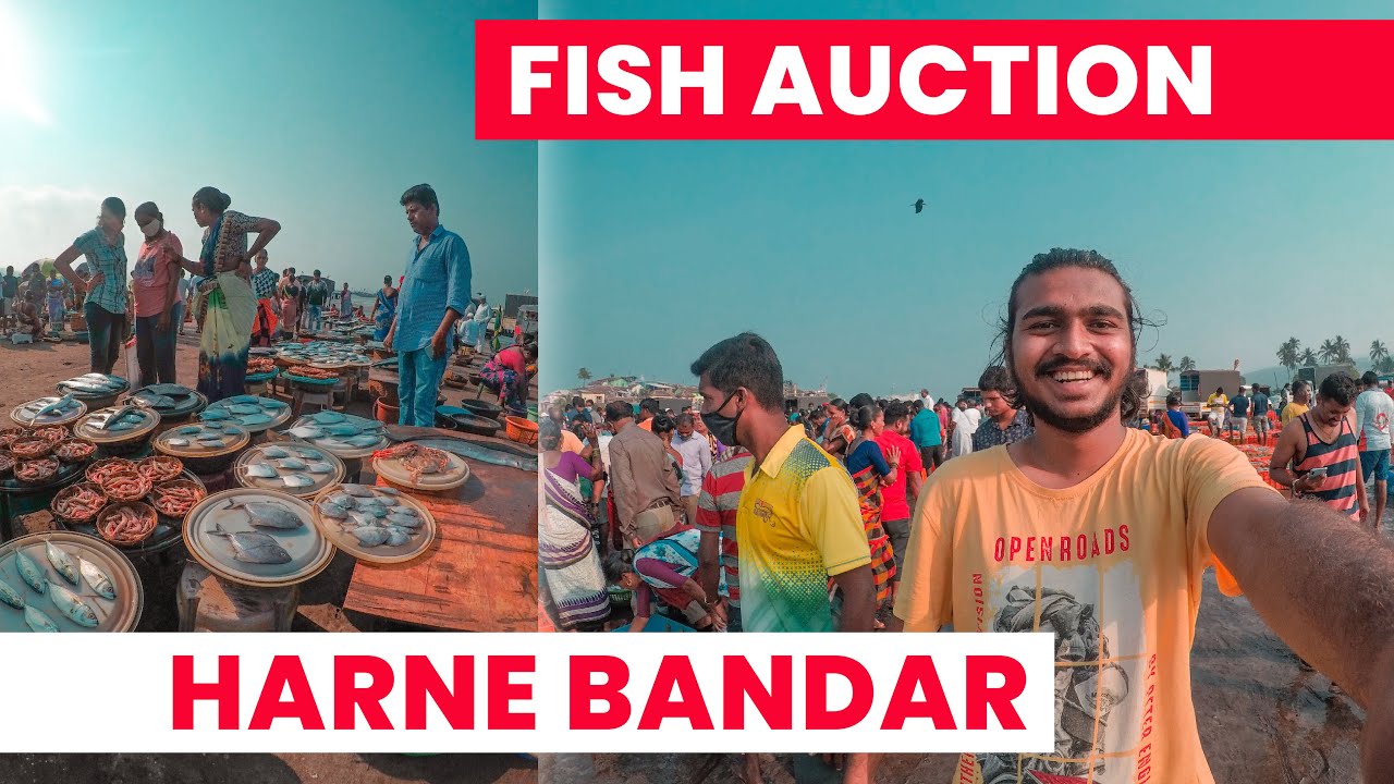 Fish Auction Harne Bandar | Harihareshwar Vlog | 2021 - YouTube