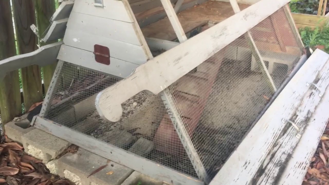 Chicken Quarantine Pen Tour - YouTube