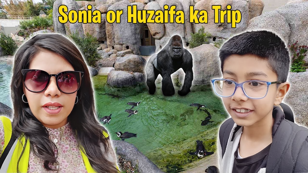 Sonia or Huzaifa Gaye School Trip pe | Zoo mein Bohat Sary Animals ...