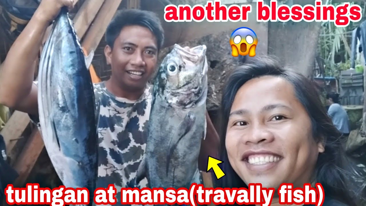 NAGKUMPRA KAMI NG ISDANG MANSA O TREVALLY FISH AT BULIS PAWAYAN ...