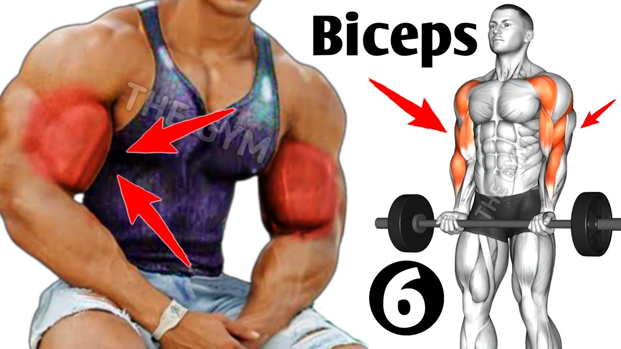 6 Bigger Biceps Exercises At Gym Biceps Workout Youtube