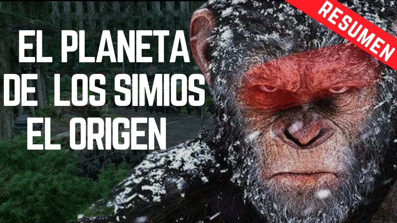 EL PLANETA DE LOS SIMIOS EL ORIGEN - YouTube