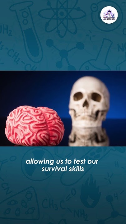 The Science of Fear: Why We Love Horror Stories?? #discovery # ...