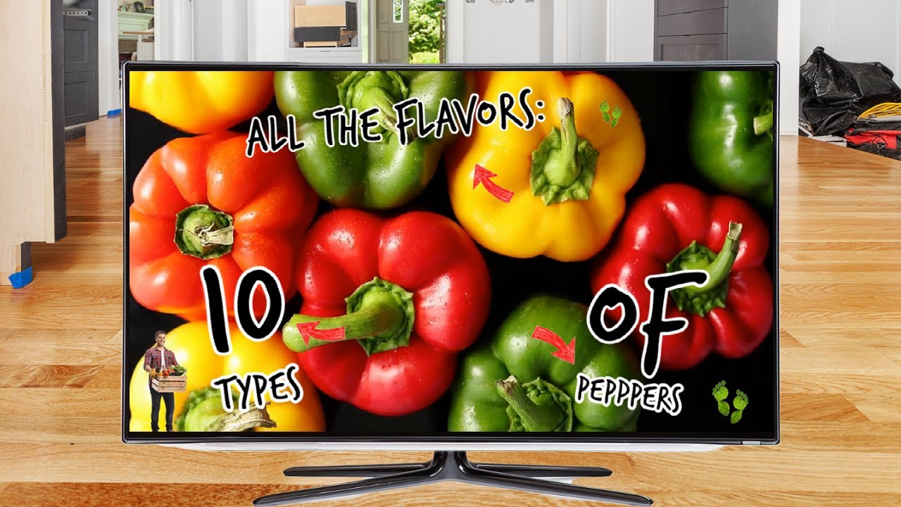 All The Flavors: 10 Types of Peppers - YouTube