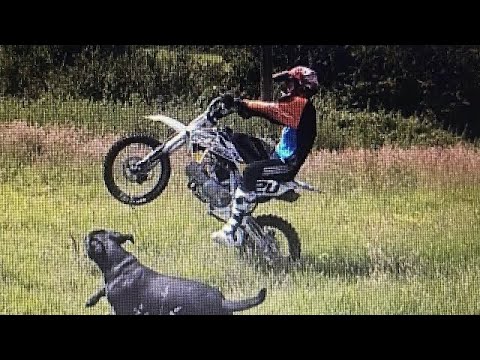 SLAM SMX125 XL PIT BIKE, WE RIDE AND REVIEW. Is a Chinese bike worth ...