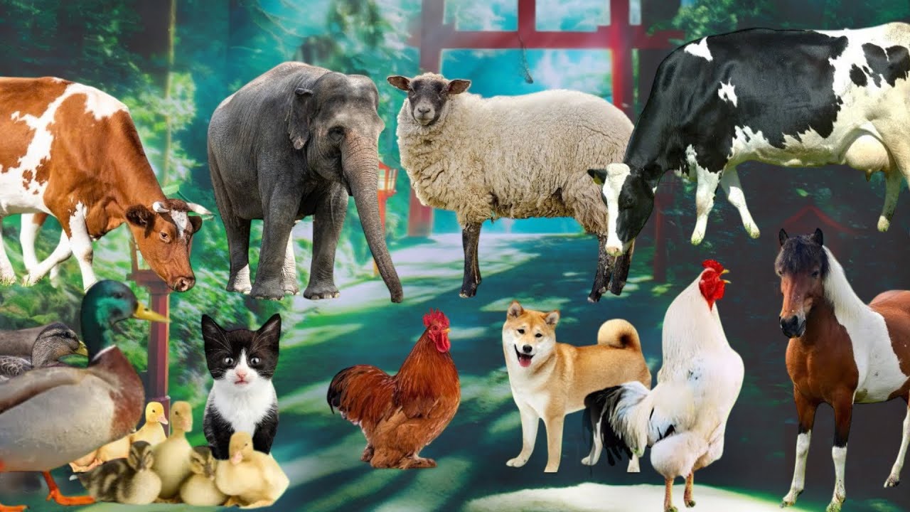 Cute Farm Animals Steal the Show in Just 5 Minutes!🐥🐶🐱🐮🐴🐷|Lamb, Kitten ...