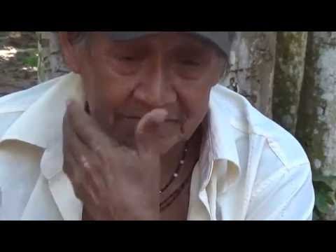 Festa no Barreiro - por Voltorino Gavião