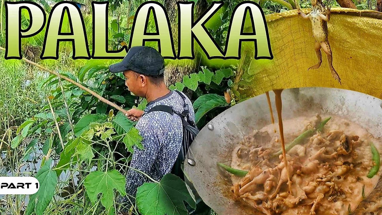 P1-Nangawil ng Palaka sa Sako ng Iba - EP1474 - YouTube