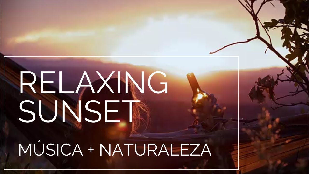 🎧 Música relajante + sonidos de la naturaleza 🐤🌲 /// Relaxing music ...