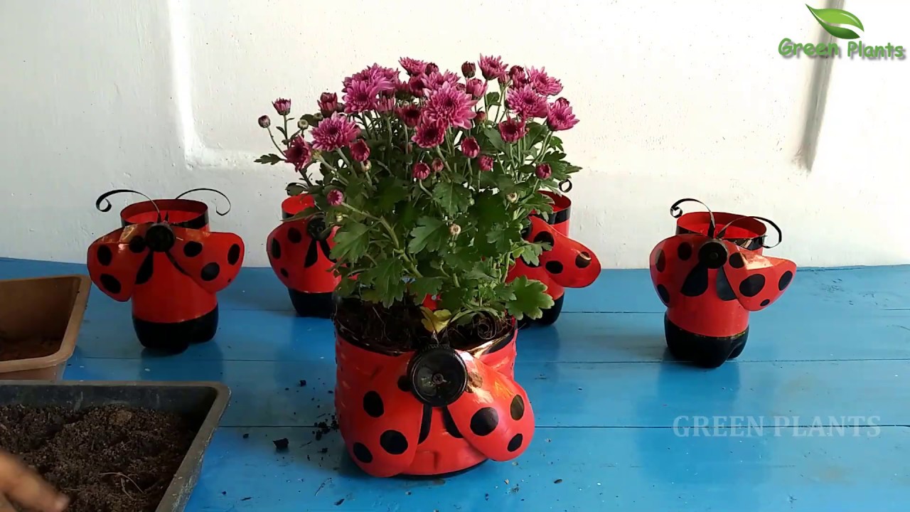 Make a Beautiful Ladybug Family Flower Pots Using Waste Materials ...