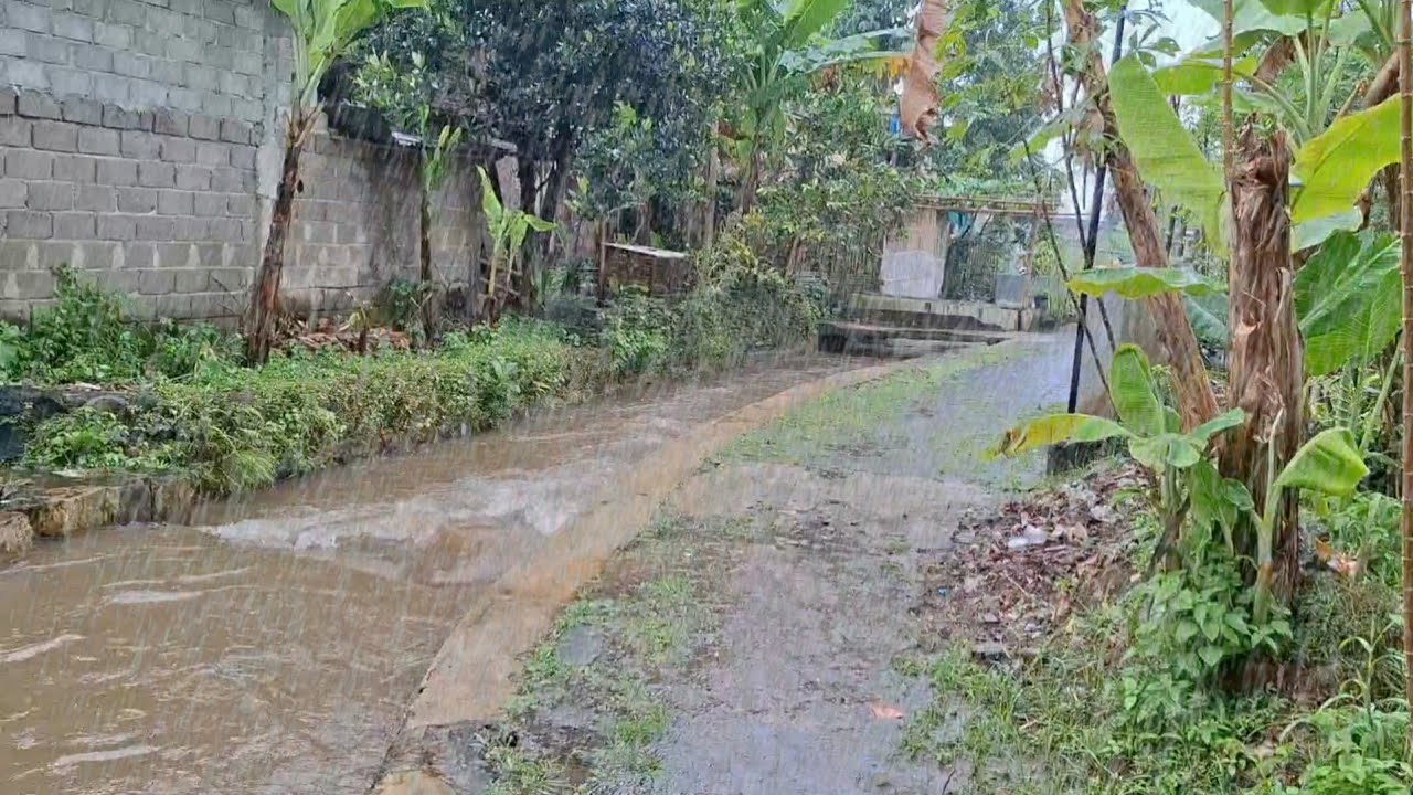 Walking in my village it was raining very heavily and there was ...