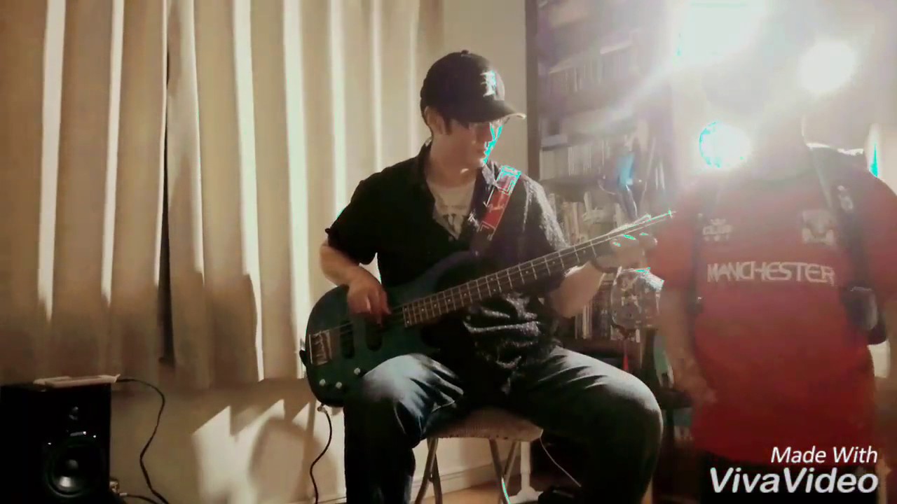 Elvis Costello Veronica On Bass - YouTube